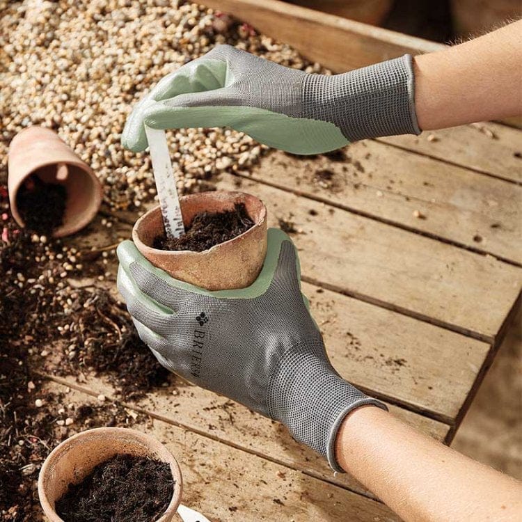 Briers Ladies Seed & Weed Gardening Gloves M8 – Trowell Garden Centre
