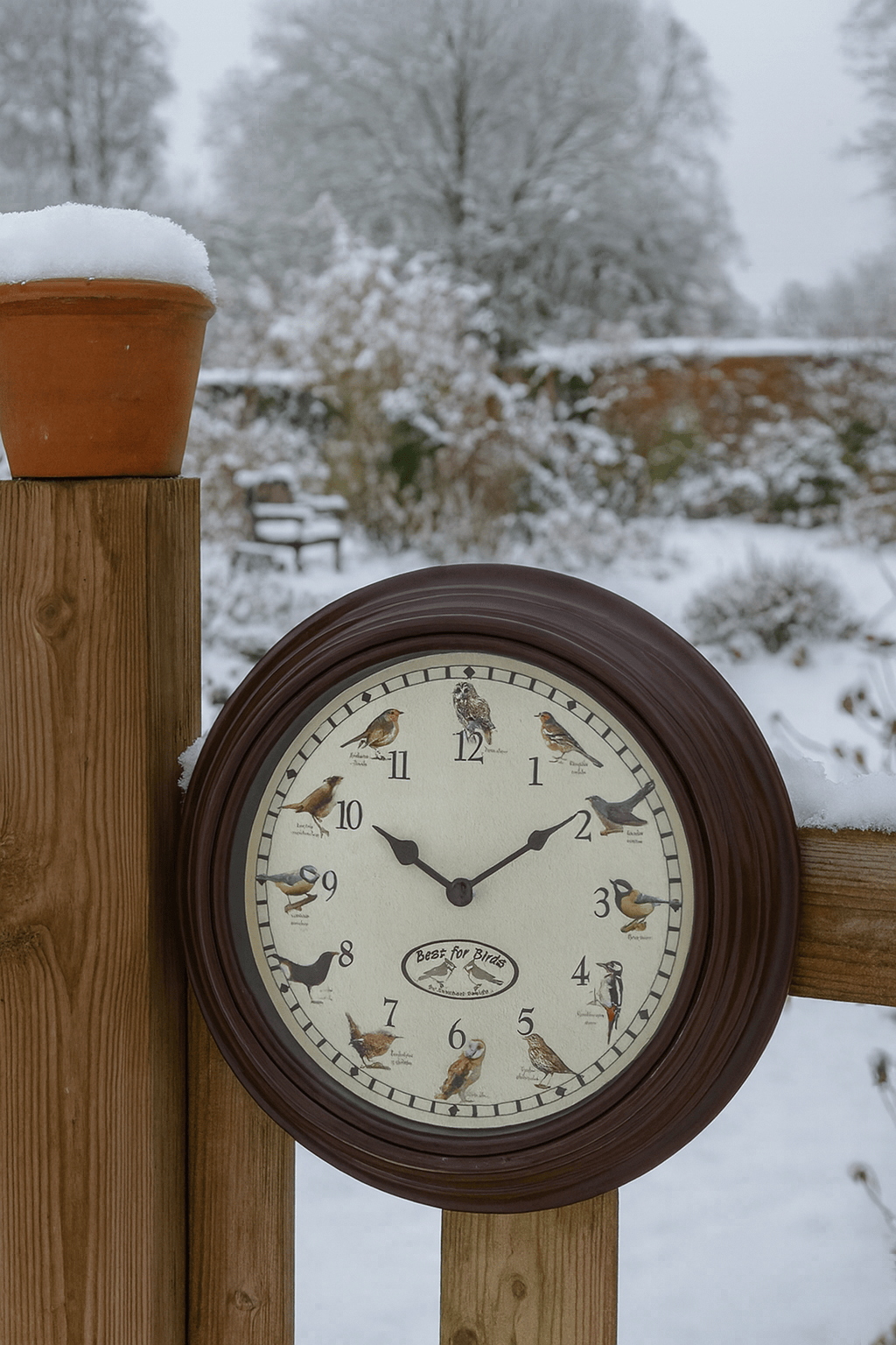 Fallen Fruits Bird Song Clock – Trowell Garden Centre