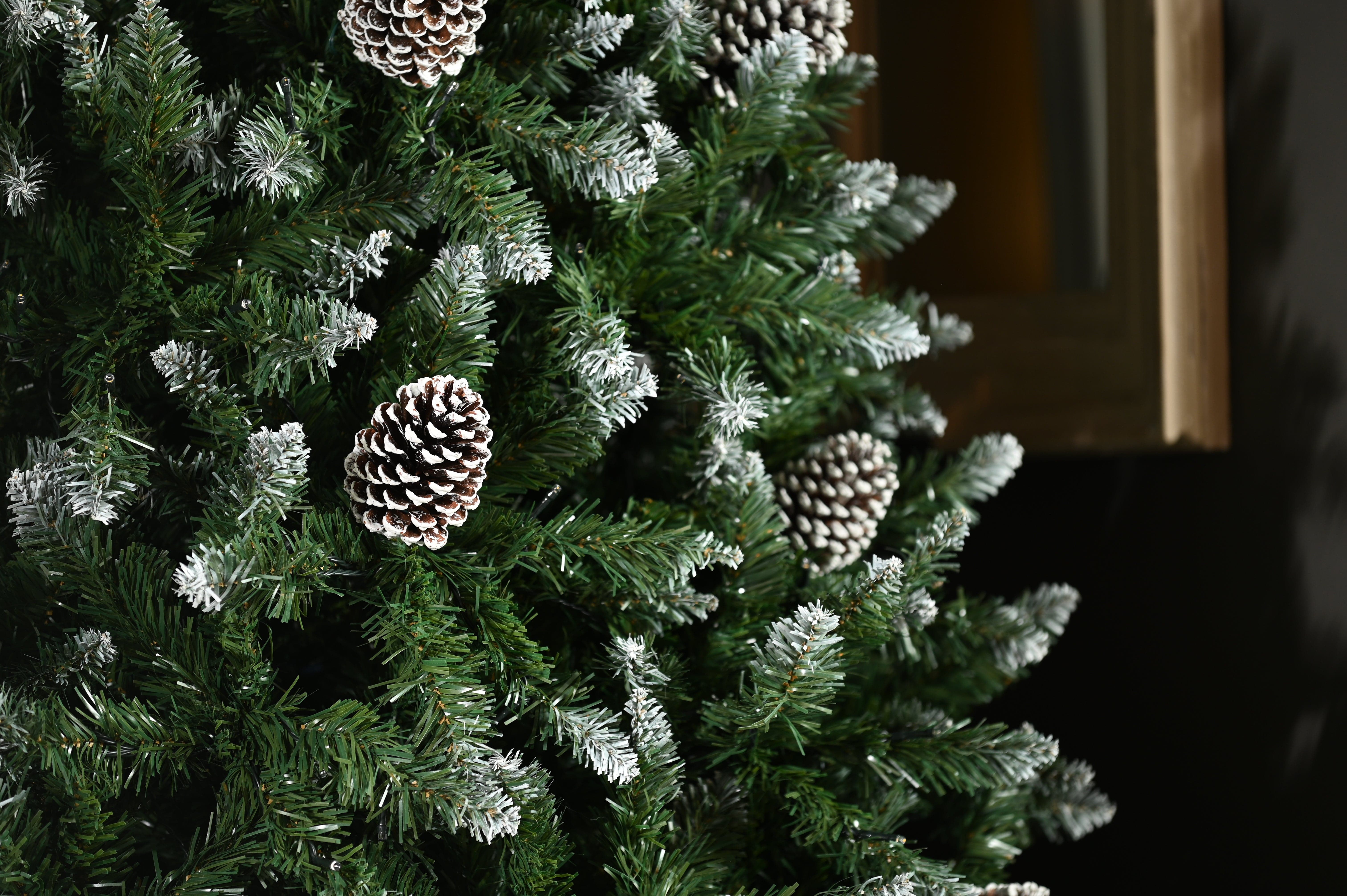 Festive Hertford Pine Christmas Tree - 6ft/180cm – Trowell Garden Centre