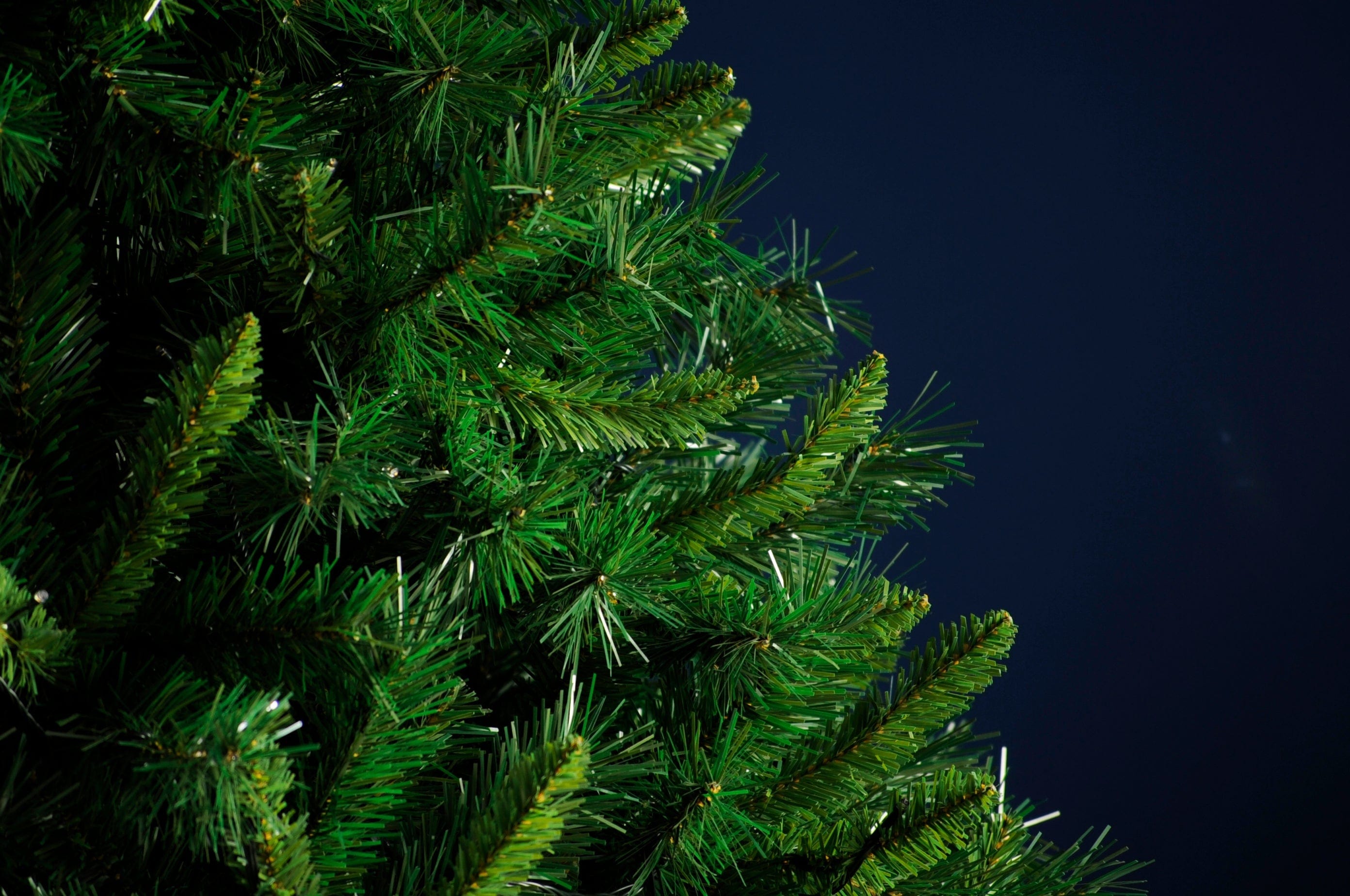 Festive Victoria Pine Christmas Tree - 7ft/210cm – Trowell Garden Centre