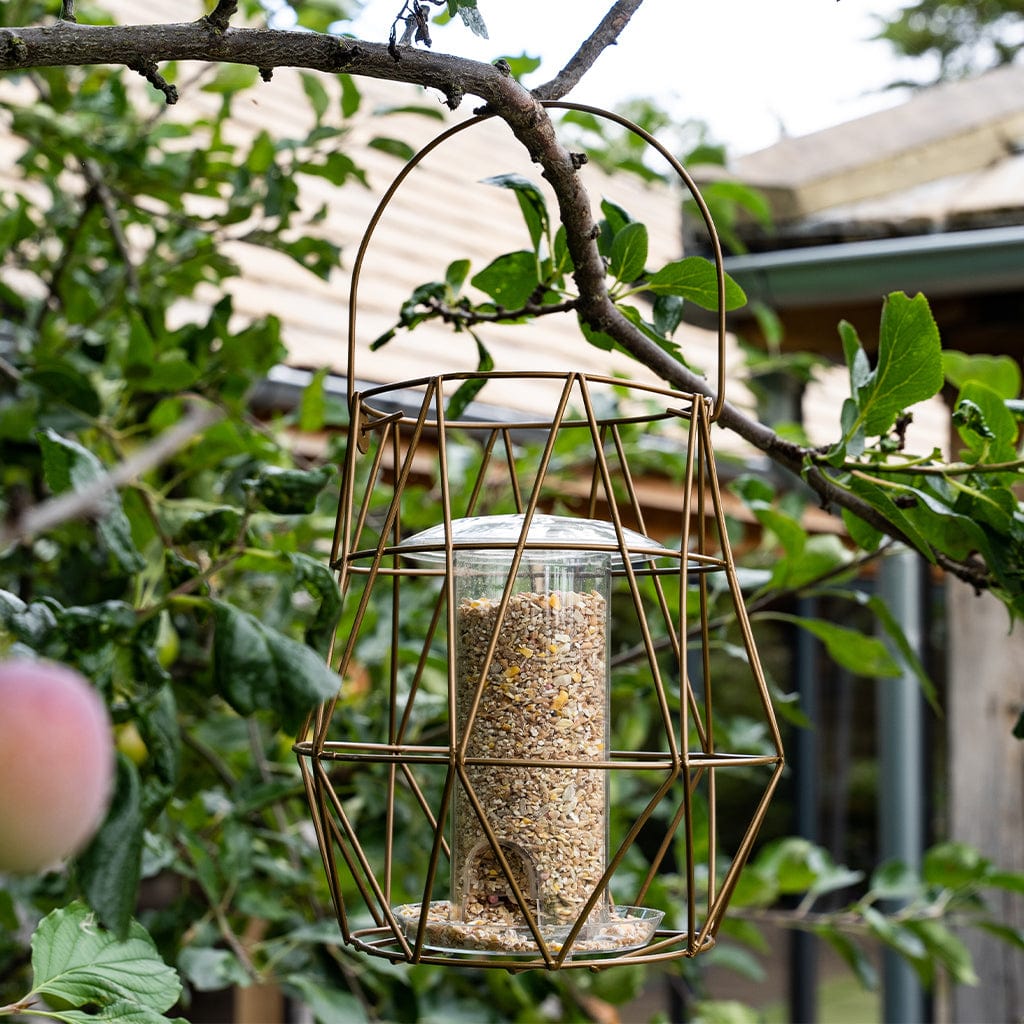 Gardman Aura Small Bird Feeder – Trowell Garden Centre