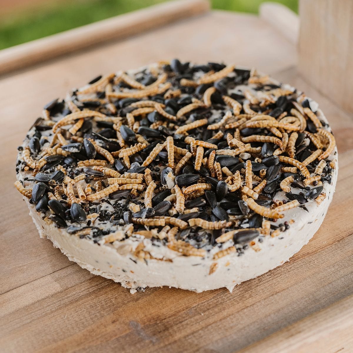 Gardman Seed & Mealworm Suet Cookie – Trowell Garden Centre