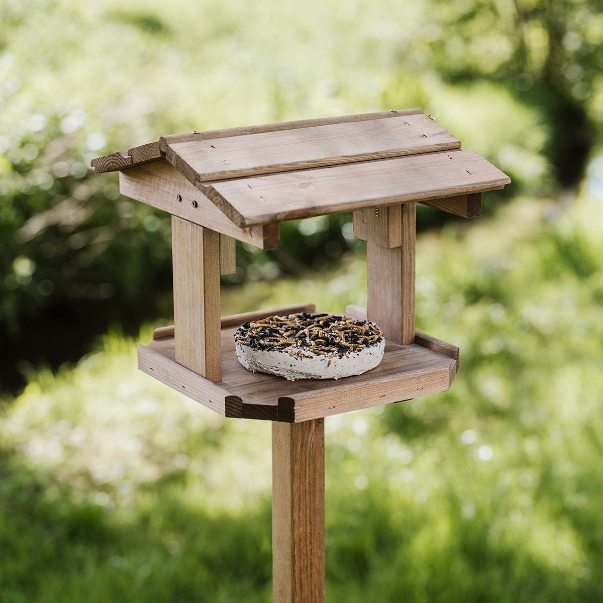 Gardman Seed & Mealworm Suet Cookie – Trowell Garden Centre