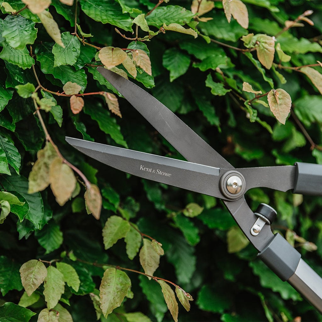 Kent and Stowe Traditional Hedge Shears – Trowell Garden Centre
