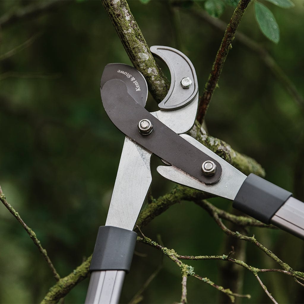 Kent & Stowe Telescopic Geared Anvil Lopper – Trowell Garden Centre