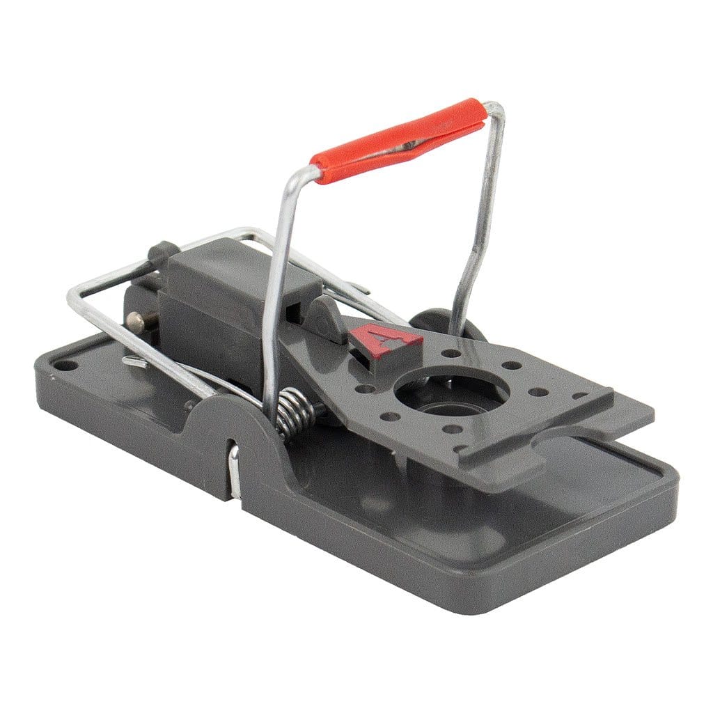 Deadfast Power Kill Traps for Mice – Trowell Garden Centre