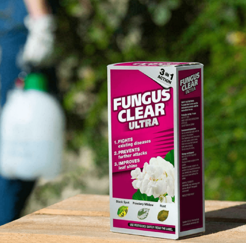 Evergreen FungusClear Ultra Concentrate 225ml – Trowell Garden Centre