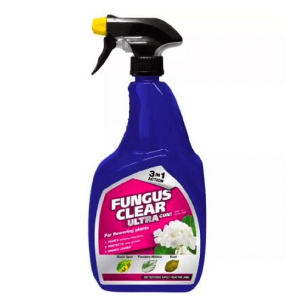 Evergreen Fungus Clear Ultra Ready To Use 1Ltr – Trowell Garden Centre