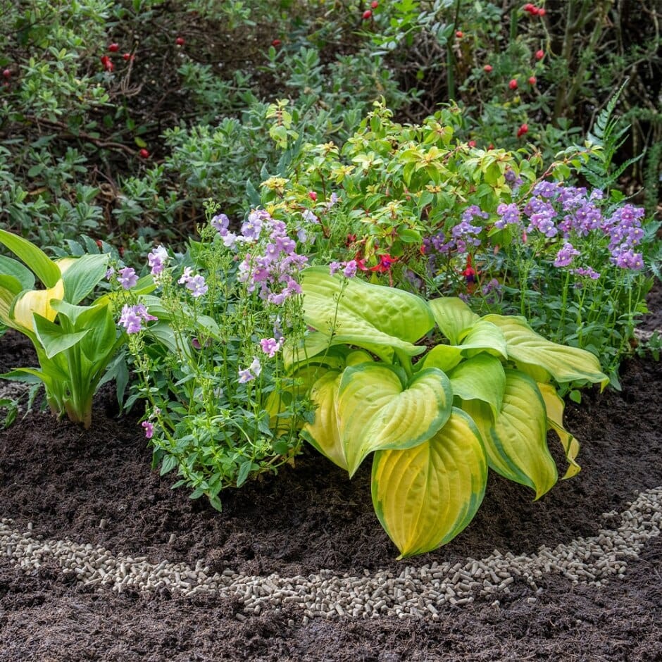 Growing Success Organic Slug Stop Barrier Pellets Tub 3.5kg – Trowell ...