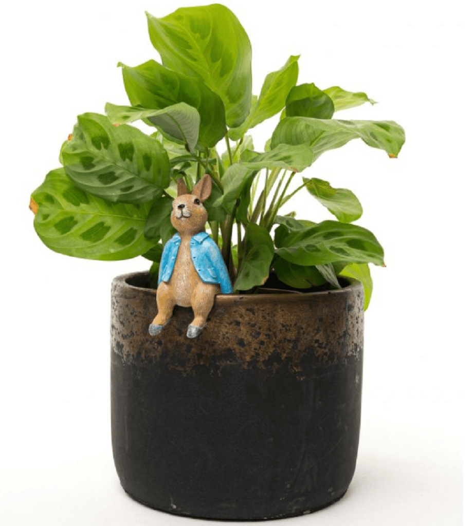 Jardinopia Beatrix Potter Peter Rabbit Plant Pot Hanger – Trowell ...