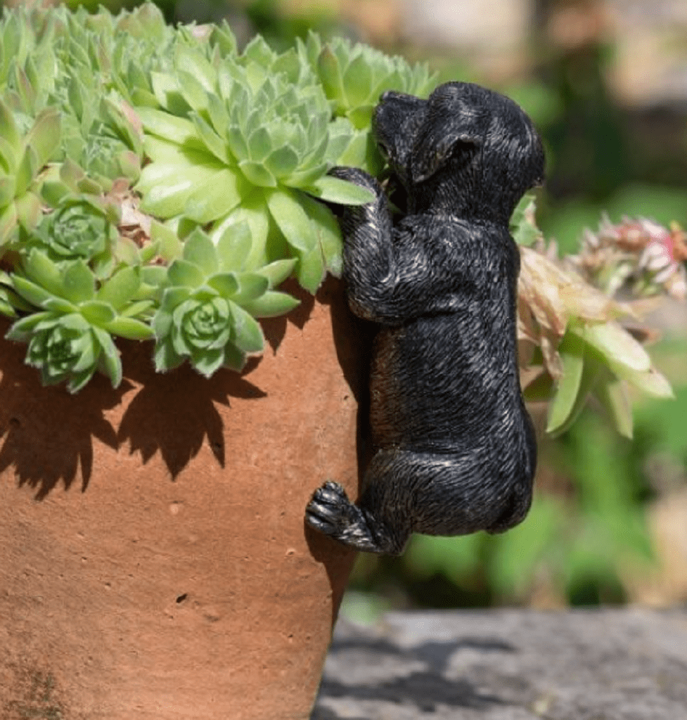 Jardinopia Labrador Plant Pot Hanger – Trowell Garden Centre