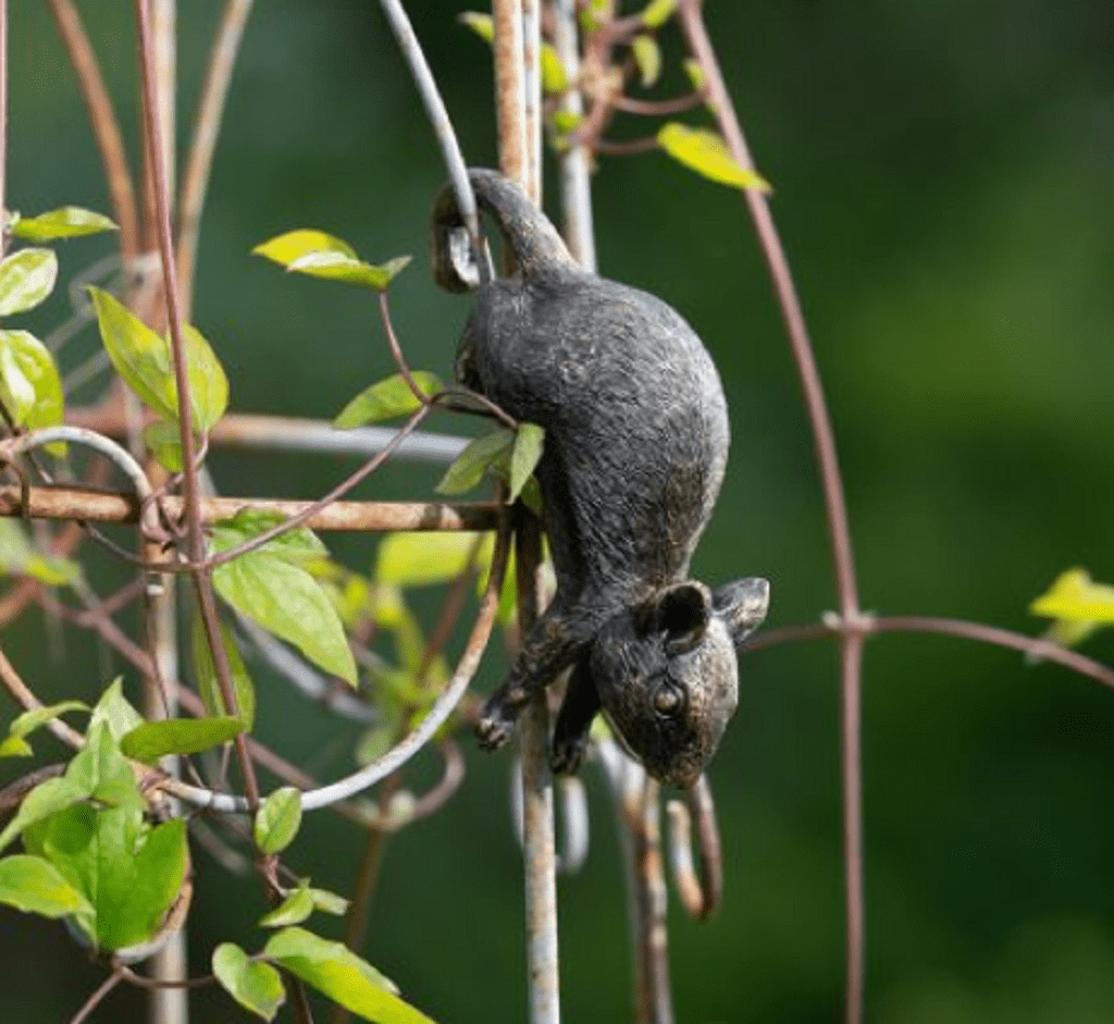 Jardinopia Mouse Pot Buddy Plant Pot Hanger – Trowell Garden Centre