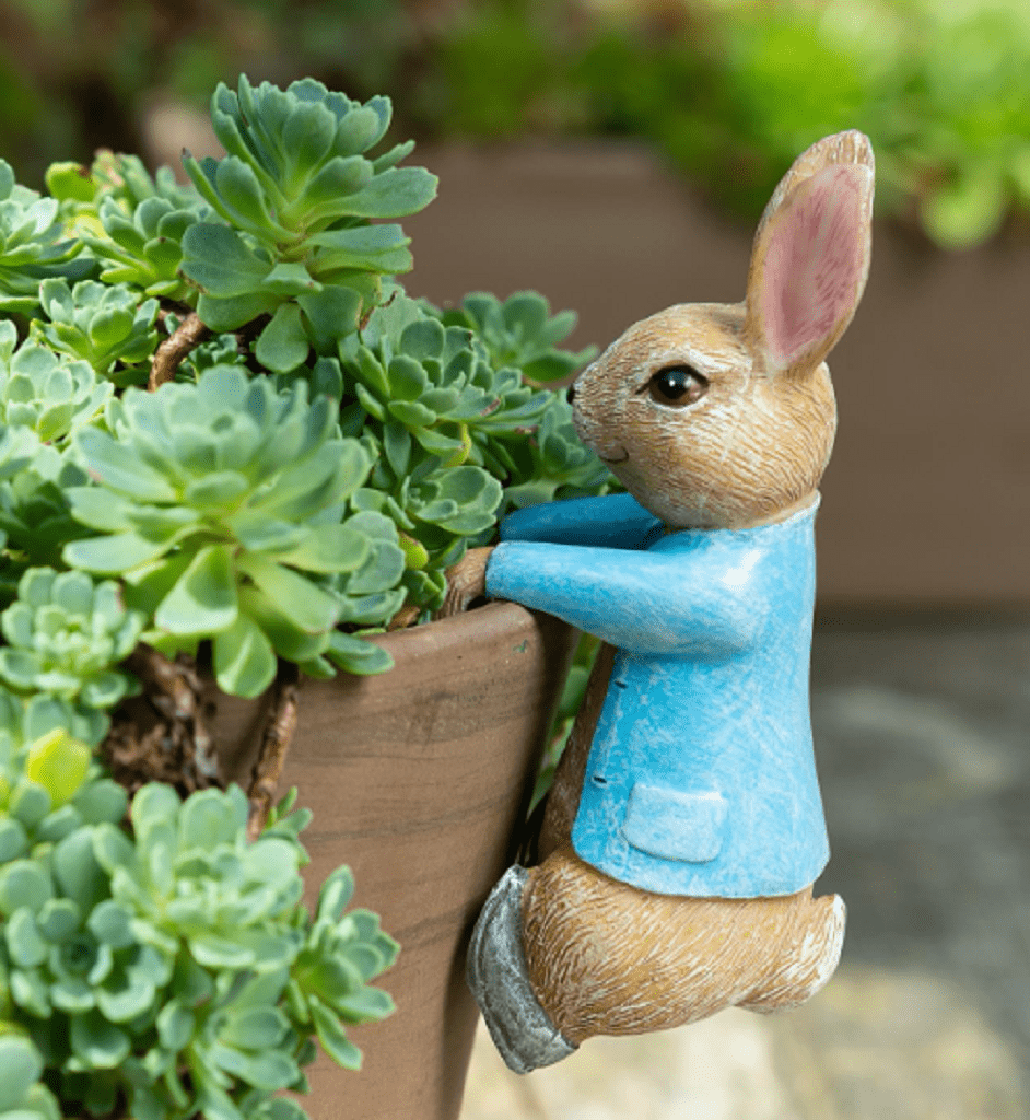 Jardinopia Peter Rabbit Pot Buddy Plant Pot Hanger – Trowell Garden Centre