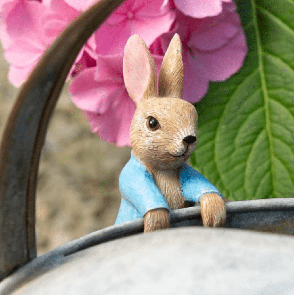 Jardinopia Peter Rabbit Pot Buddy Plant Pot Hanger – Trowell Garden Centre
