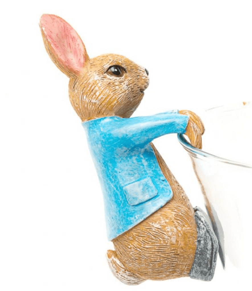 Jardinopia Peter Rabbit Pot Buddy Plant Pot Hanger – Trowell Garden Centre