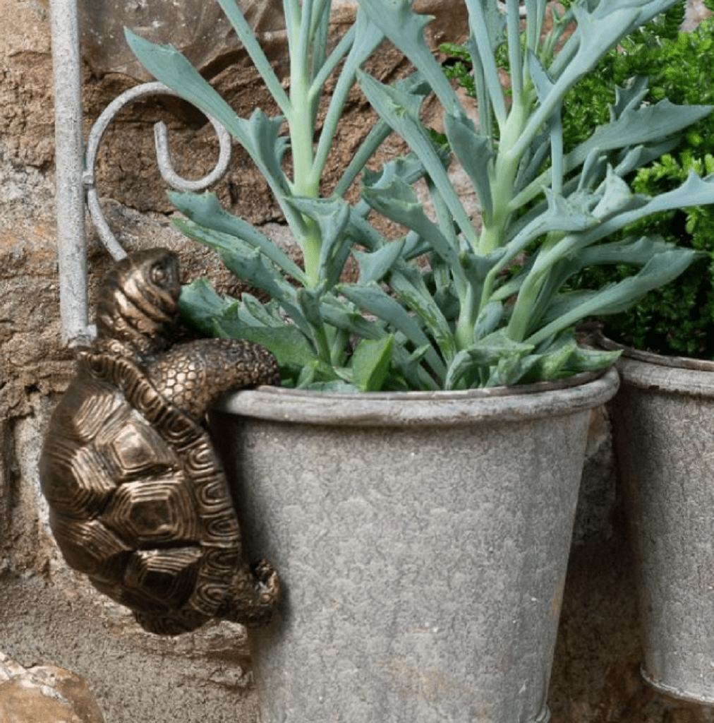 Jardinopia Tortoise Plant Pot Hanger – Trowell Garden Centre