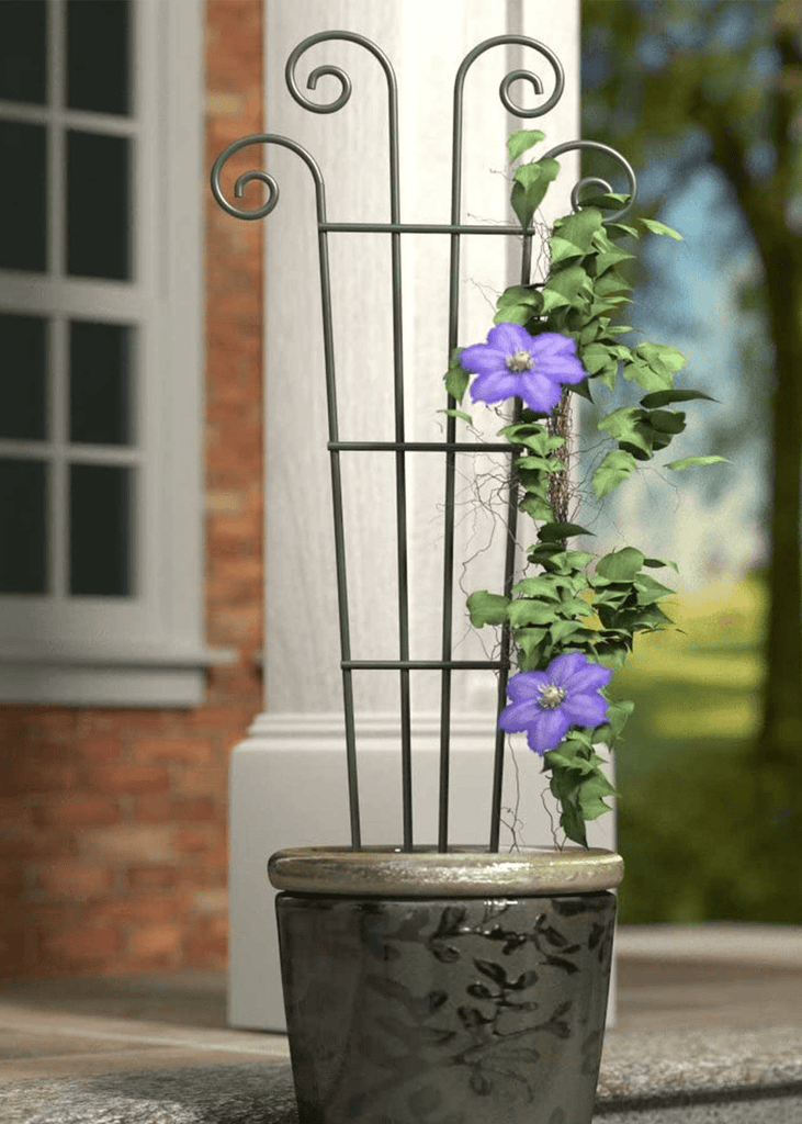 Panacea Wave Pot Trellis – Trowell Garden Centre