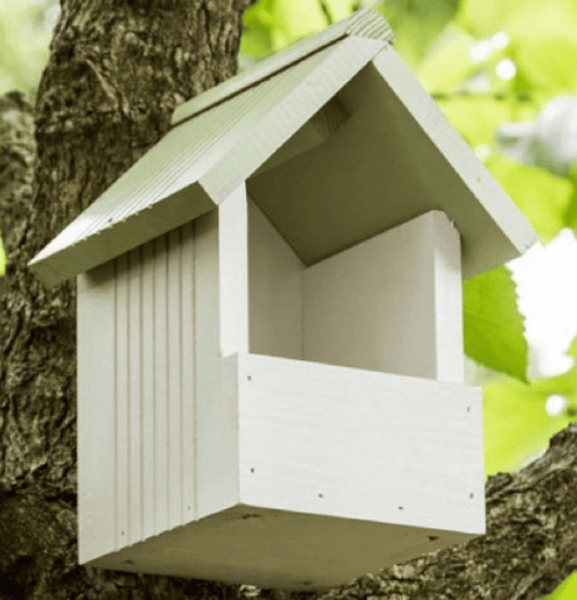 Peckish Open Fronted Bird Nest Box – Trowell Garden Centre