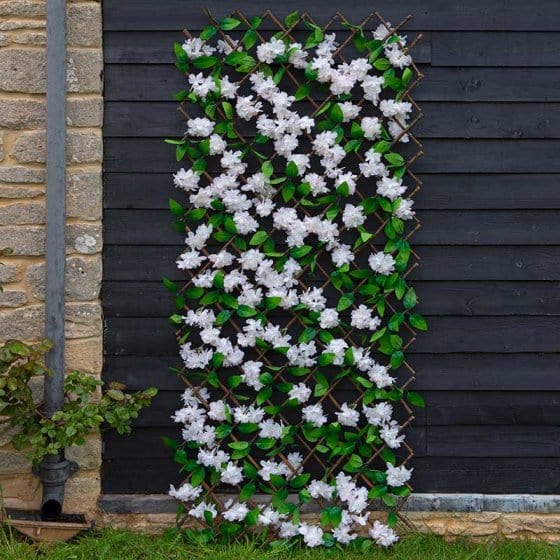 Smart Garden Cherry Blossom Trellis – Trowell Garden Centre