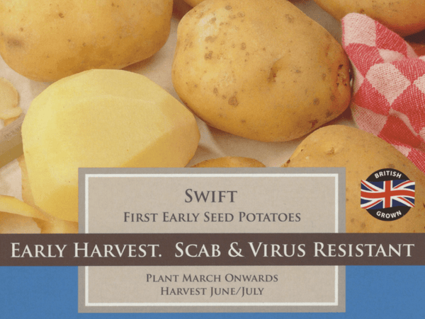 Taylors First Early Seed Potatoes Swift – Trowell Garden Centre