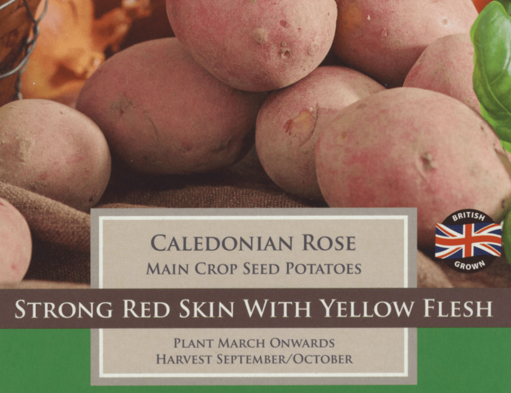 Taylors Main Crop Seed Potatoes Caledonian Rose – Trowell Garden Centre