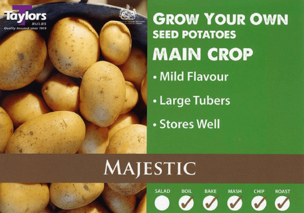 Taylors Main Crop Seed Potatoes 'Majestic' – Trowell Garden Centre