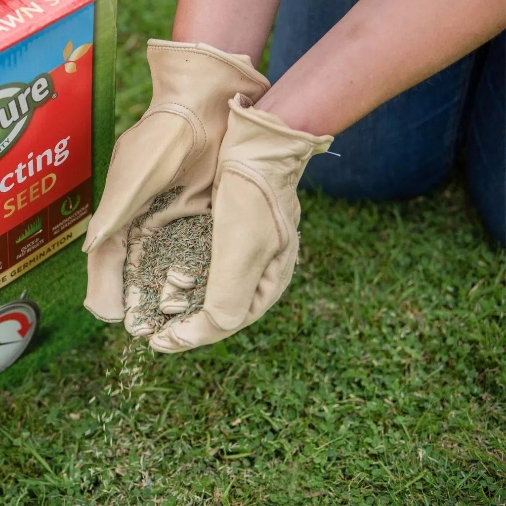 Westland Gro-Sure Fast Acting Lawn Seed 50m2 – Trowell Garden Centre