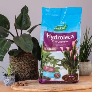 Westland Hydroleca granules 10l – Trowell Garden Centre