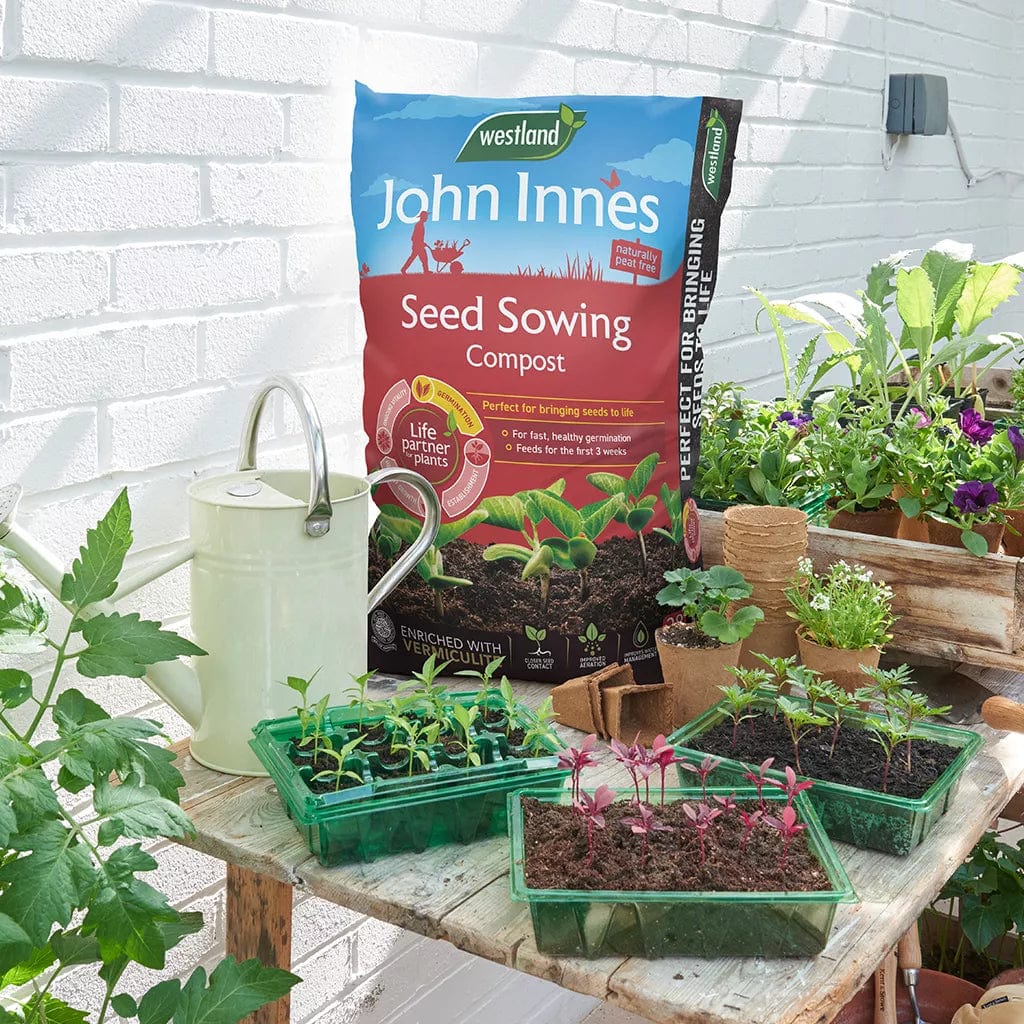 Westland John Innes Seed Sowing Compost 28 Litres – Trowell Garden Centre