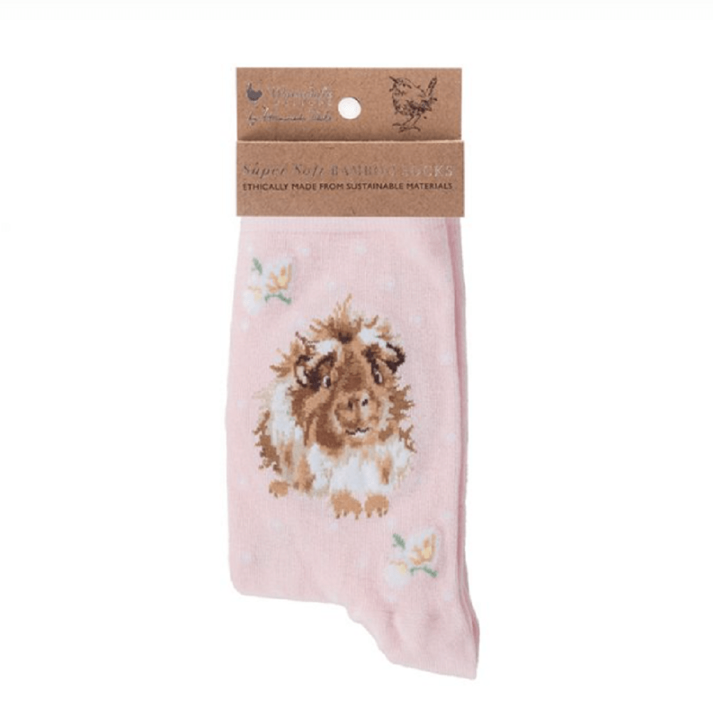 Wrendale' Grinny Pig' Guinea Pig Socks – Trowell Garden Centre